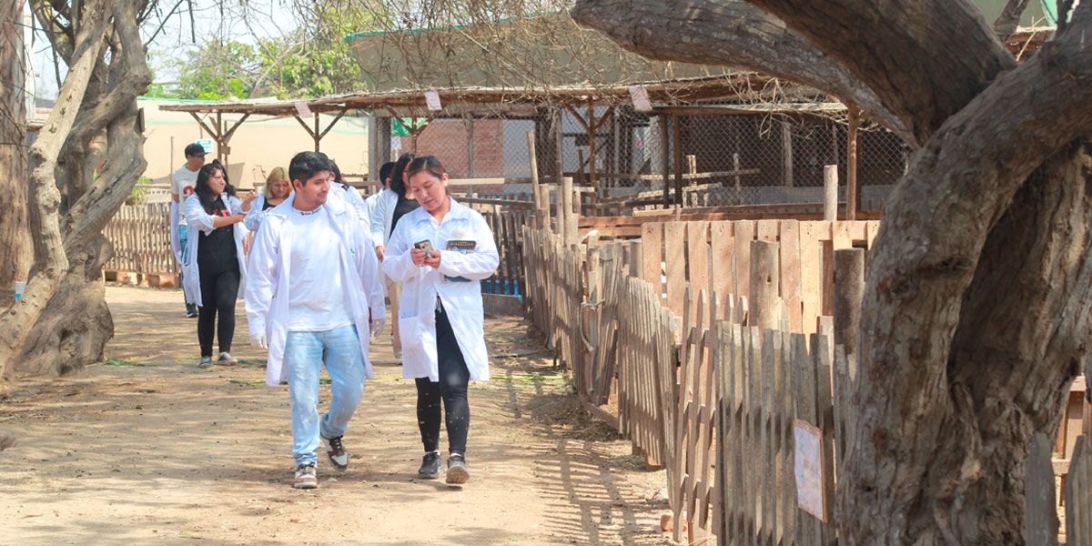 INTAP - Formando Profesionales Técnicos de Alto Nivel desde 1994